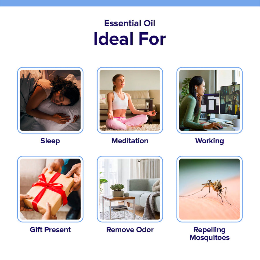 Levoit Hankey Essential Oil